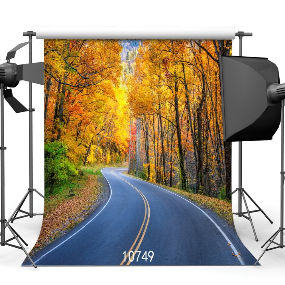 Vinyl 3D Photographic Backdrop Highway Acrossing Autumn Forest ...