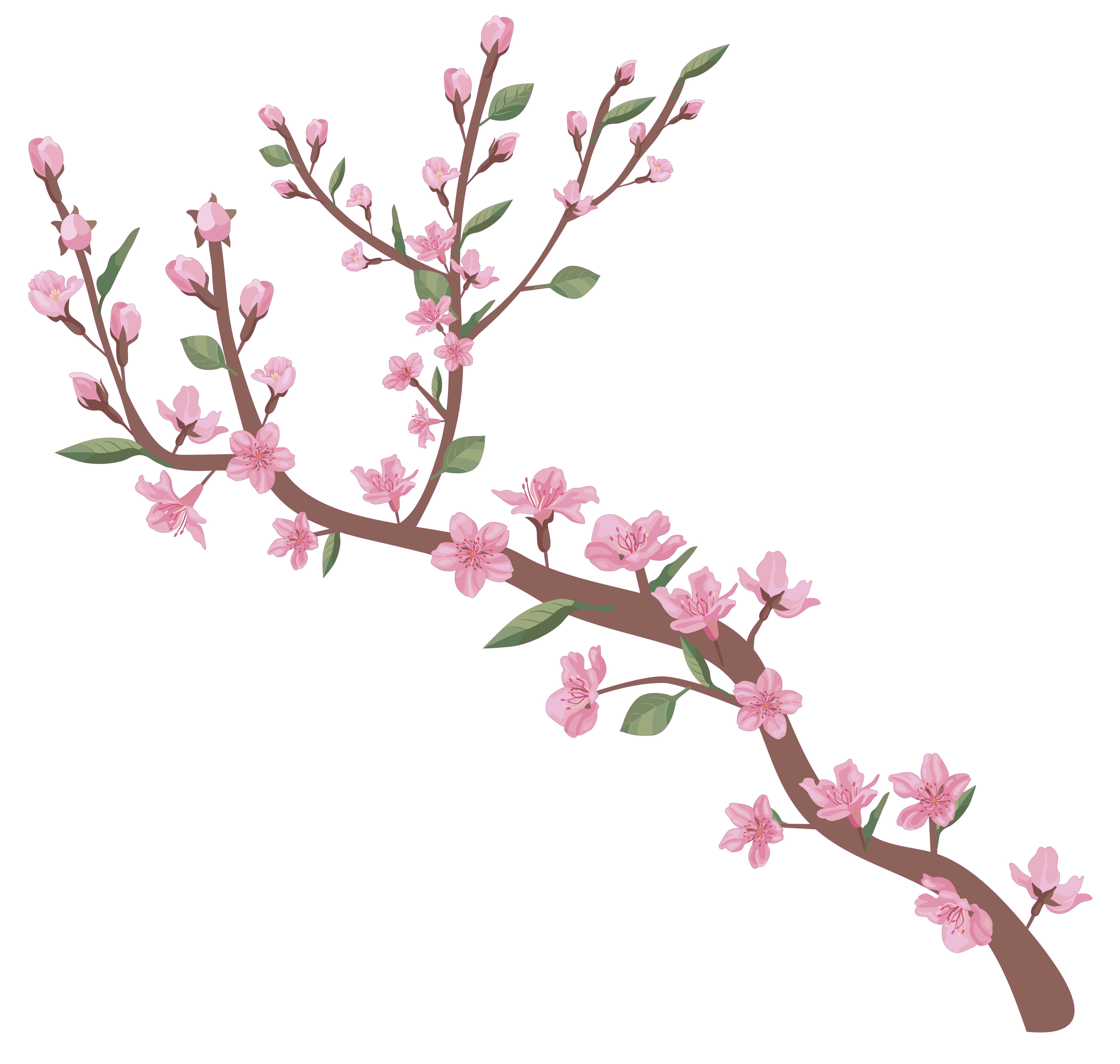 Vinyl Adhesive Japanese Sakura Tree Branch DÃ©cor Art Multicolored ...