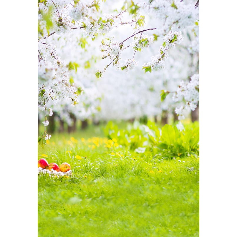 Vinyl Cloth Photography Backdrops Spring Scenery Backgrounds for Photo ...