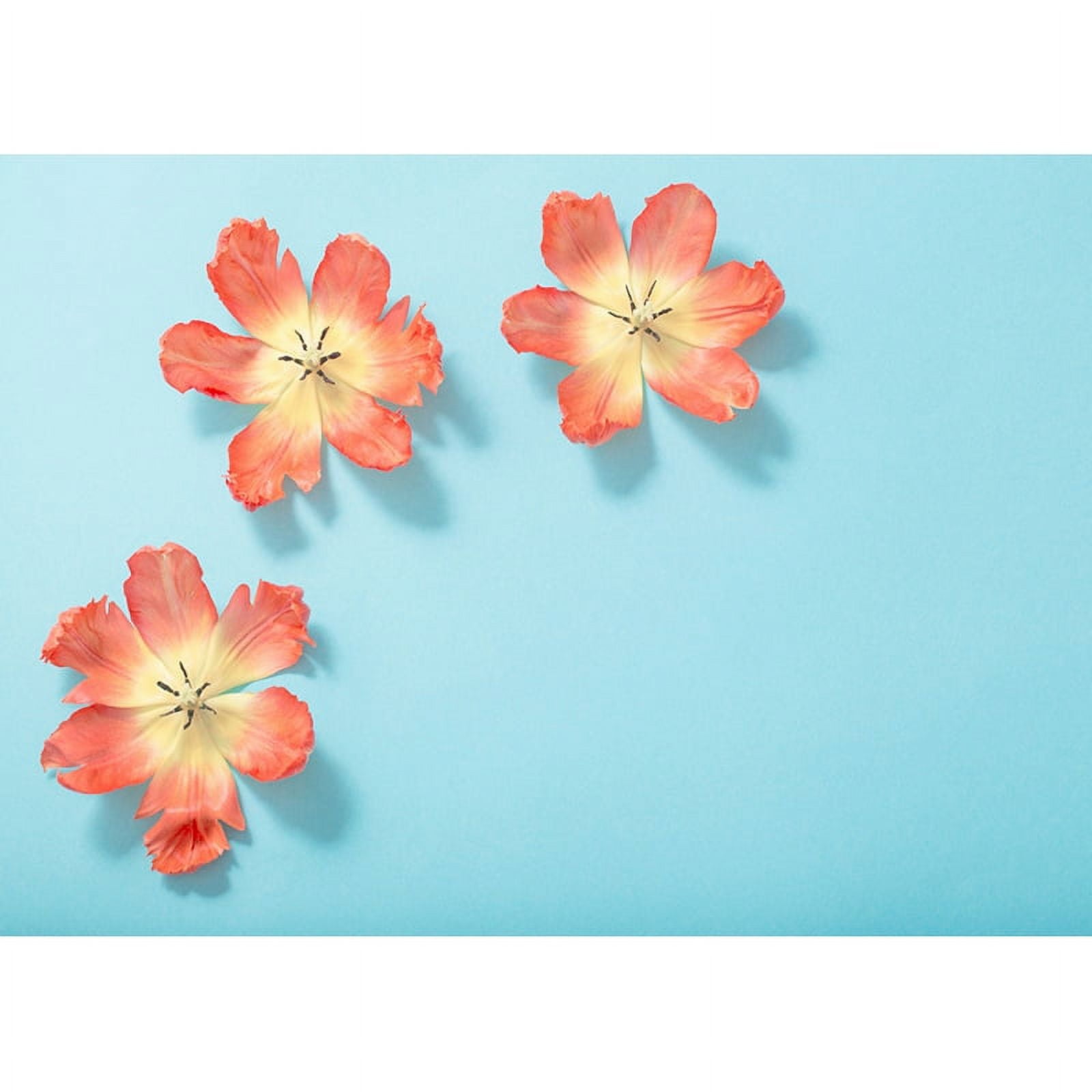 Vinyl Custom Photography Backdrops Props Flower Wood Planks Photo ...