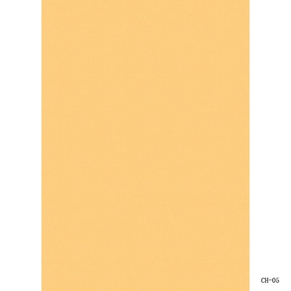 Vinyl Custom Photography Backdrops Props Solid Single Color Simple ...