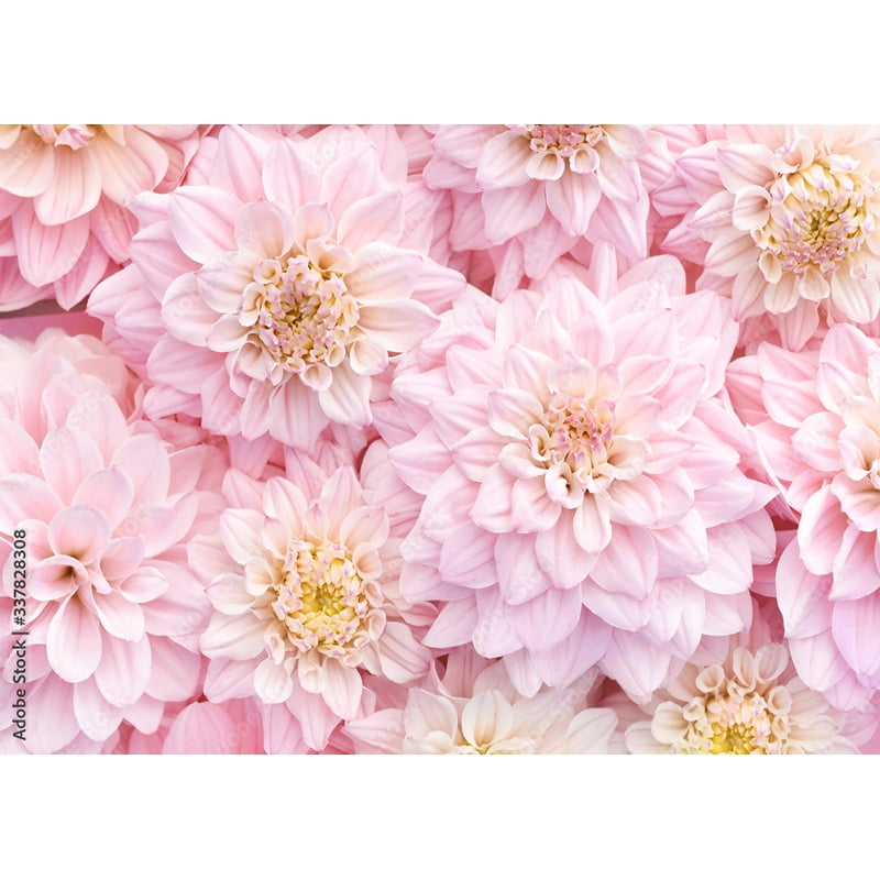 Vinyl Photography Backdrops Prop Flower Wall Wood Floor Wedding Party ...