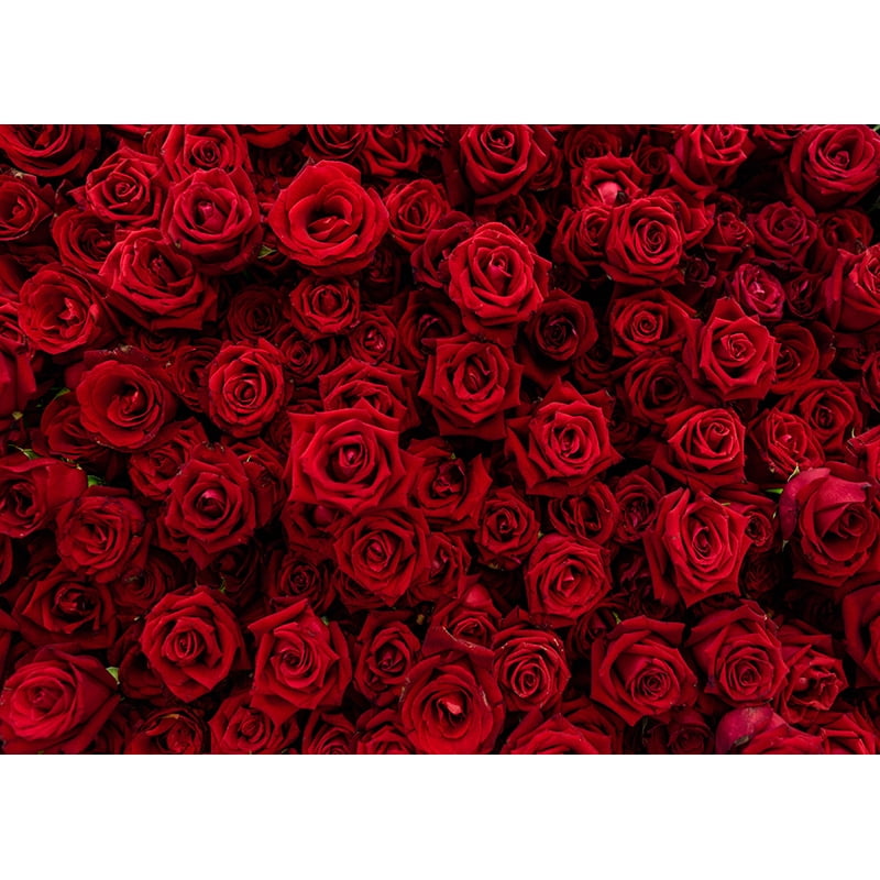 Vinyl Photography Backdrops Prop Flower Wall Wood Floor Wedding Theme ...