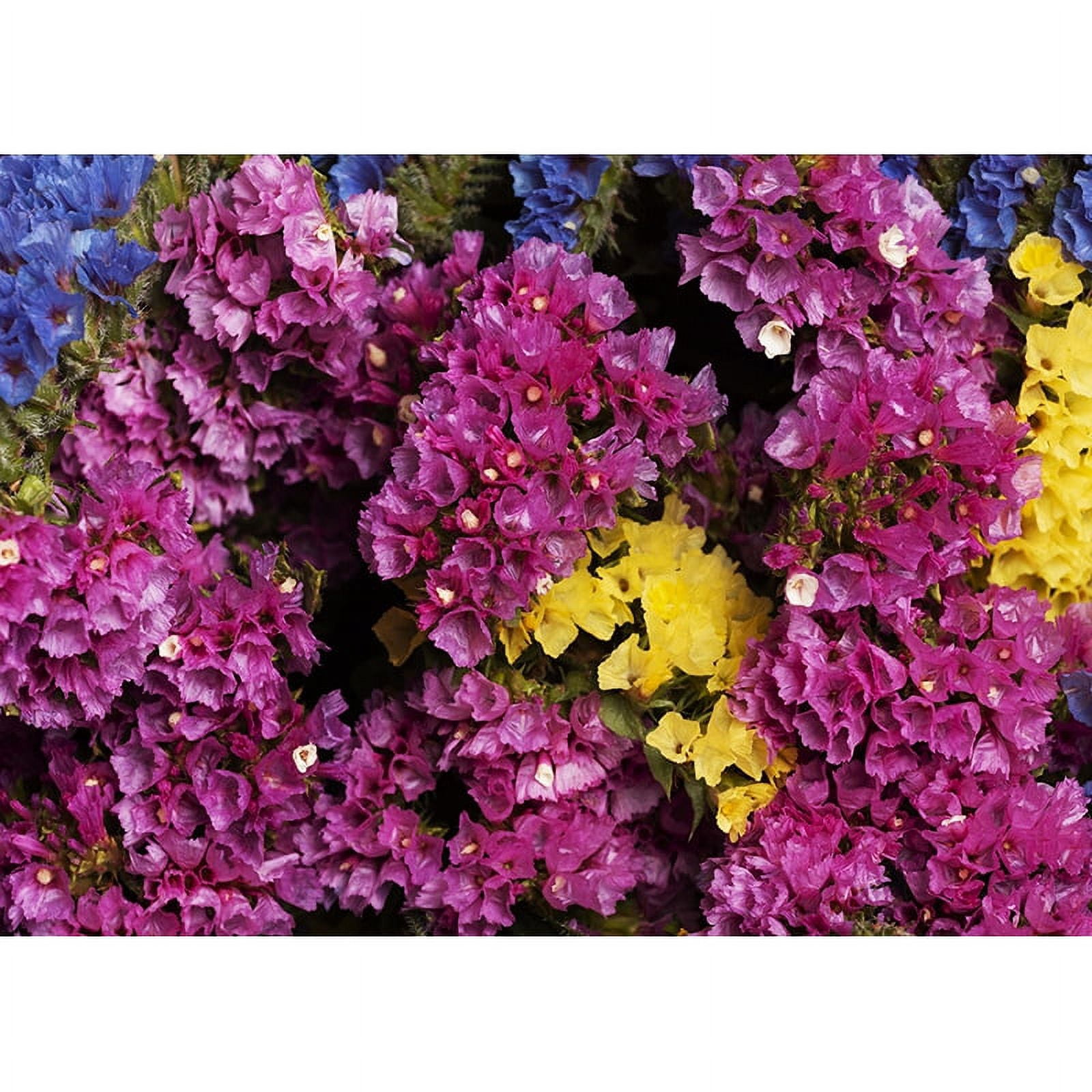 Vinyl Photography Backdrops Prop Flower Wall Wood Floor Wedding Theme ...