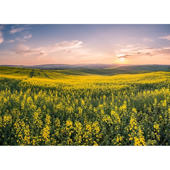 Vinyl Photography Backdrops Prop Flower Wall Wood Floor Wedding Theme ...
