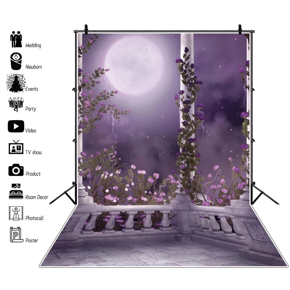 Vinyl Photography Background Dreamy Moons Corridor Stone Pillar Garden ...