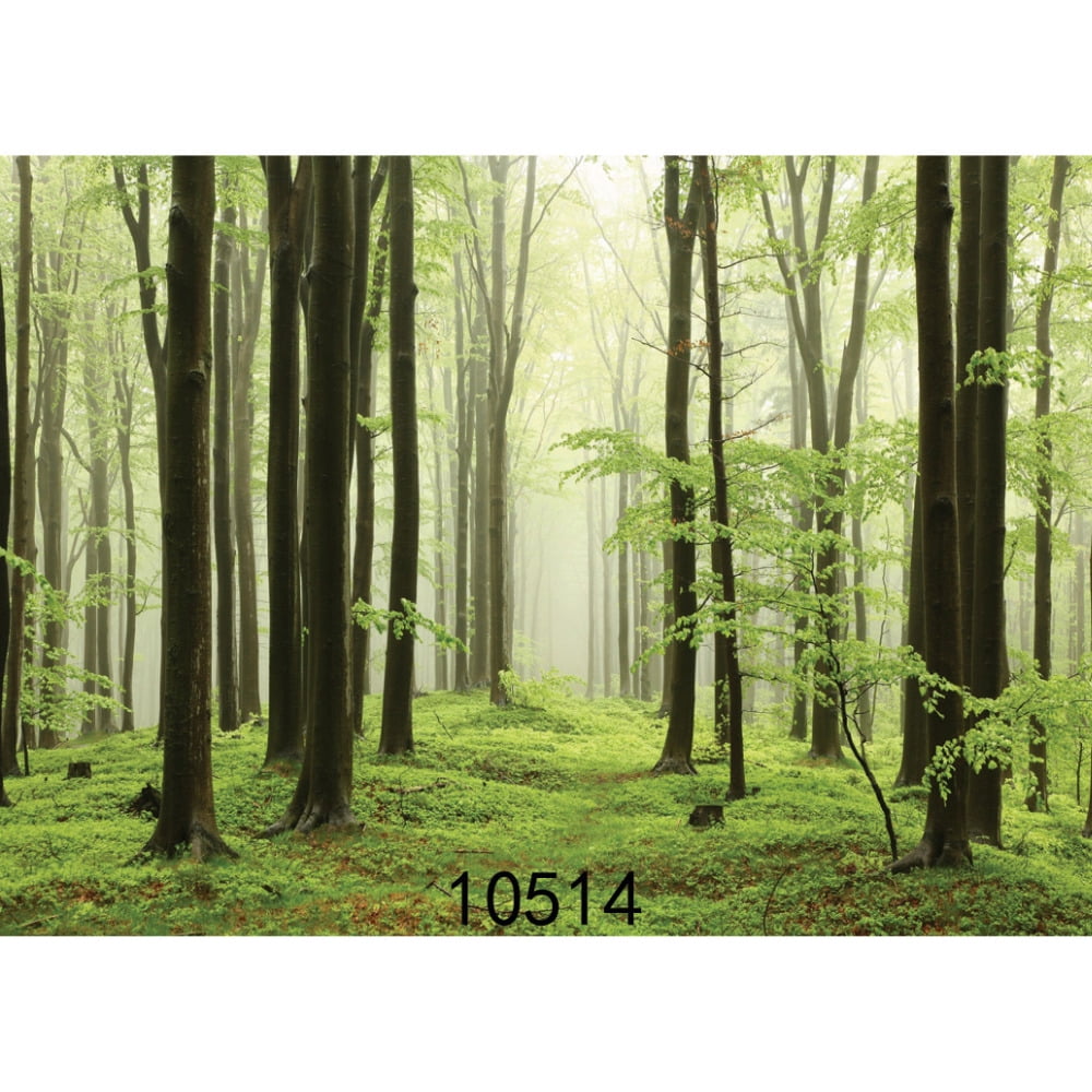 Vinyl Photography Background for Photo Shoots Forest Green Screen ...