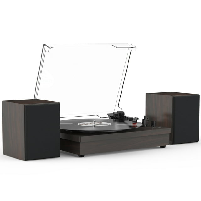 Vinyl Record Player Turntable with Speakers Record Player with ...