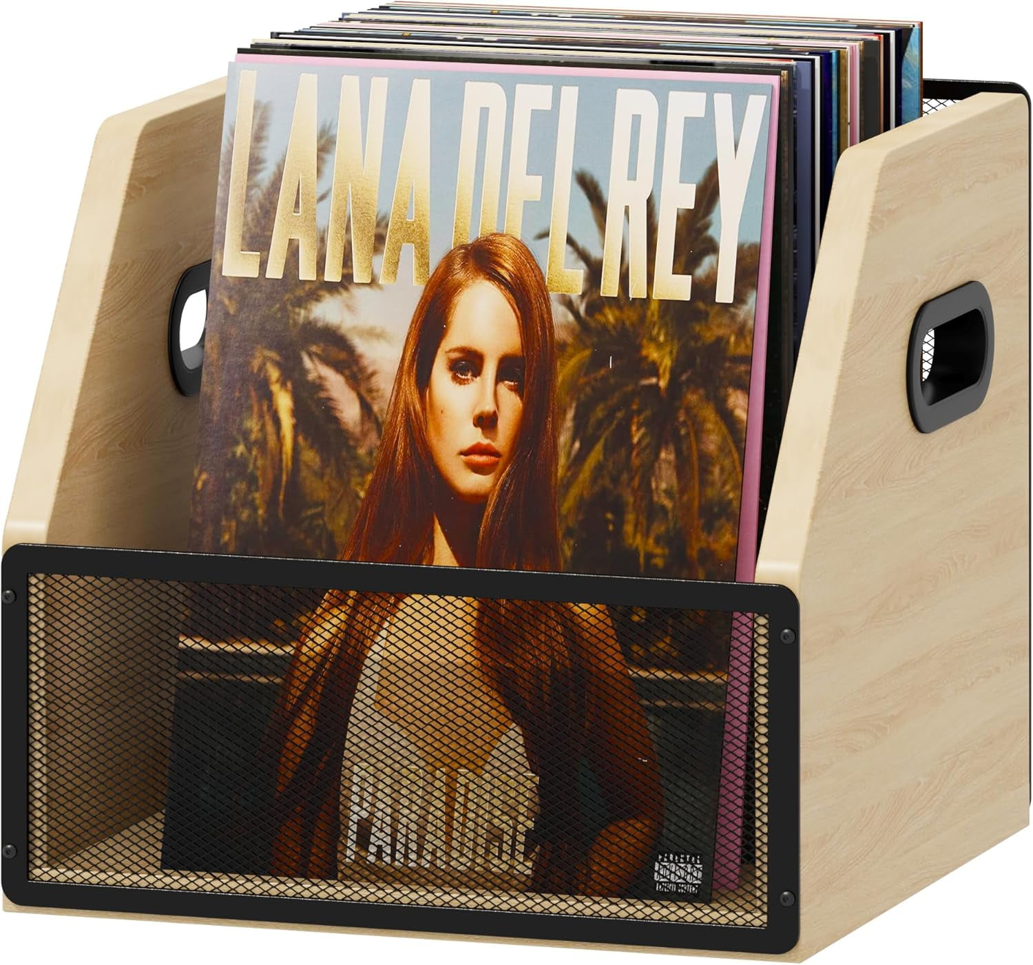 Vinyl Record Storage, Vinyl Record Holder, Desktop Metal & Wooden ...