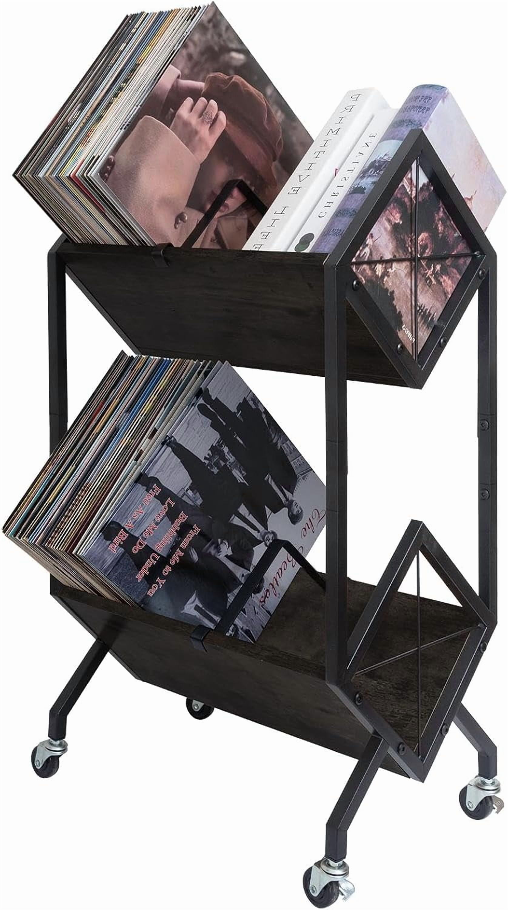 Vinyl Record Storage Holder with Wheels, 2-Tier Record Holder 160-200 ...