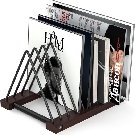 Vinyl Record Storage Rack,Detachable Desktop Stand for Album ...