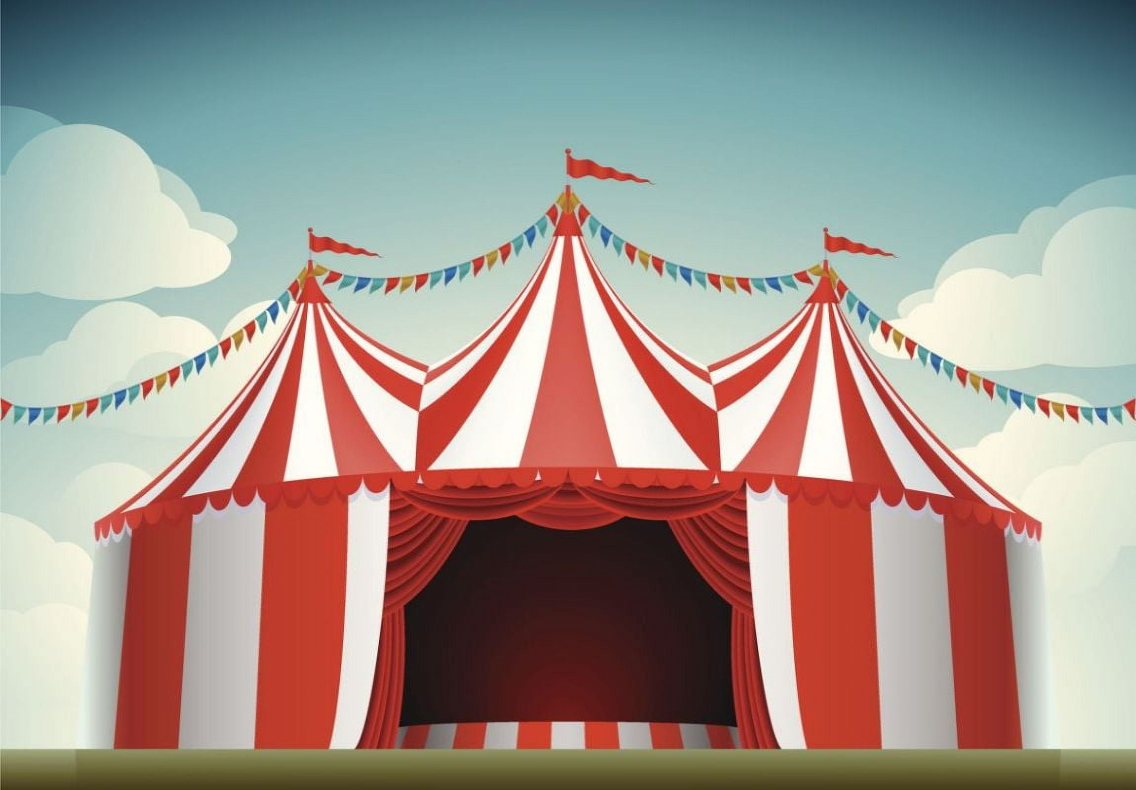 Vinyl Red Circus Carnival Curtain Stars Background Photography ...
