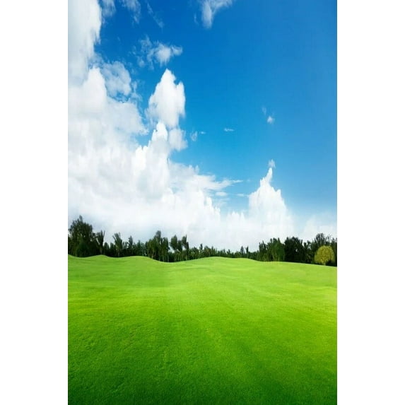 Vinyl Rural Grass Sky Scene Photography Background Customized Photocall ...