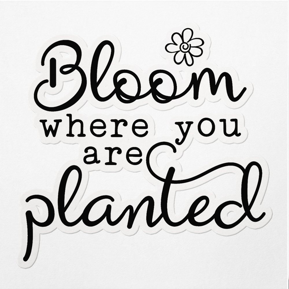 Vinyl Stickers Decals Of Bloom Planted - Waterproof - Apply On Any ...