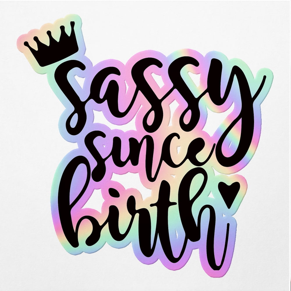 Vinyl Stickers Decals Of Sassy Birth Silhouette - Apply On Any Smooth ...