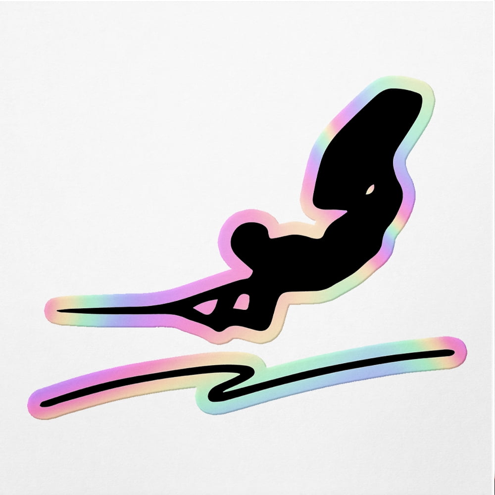 Vinyl Stickers Decals Of Wakeboard - Apply On Any Smooth Surfaces ...