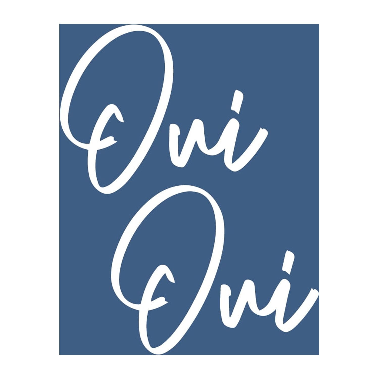 Vinyl Wall Art Decal - Oui Oui - 16" x 20.5" - Trendy Cute ...