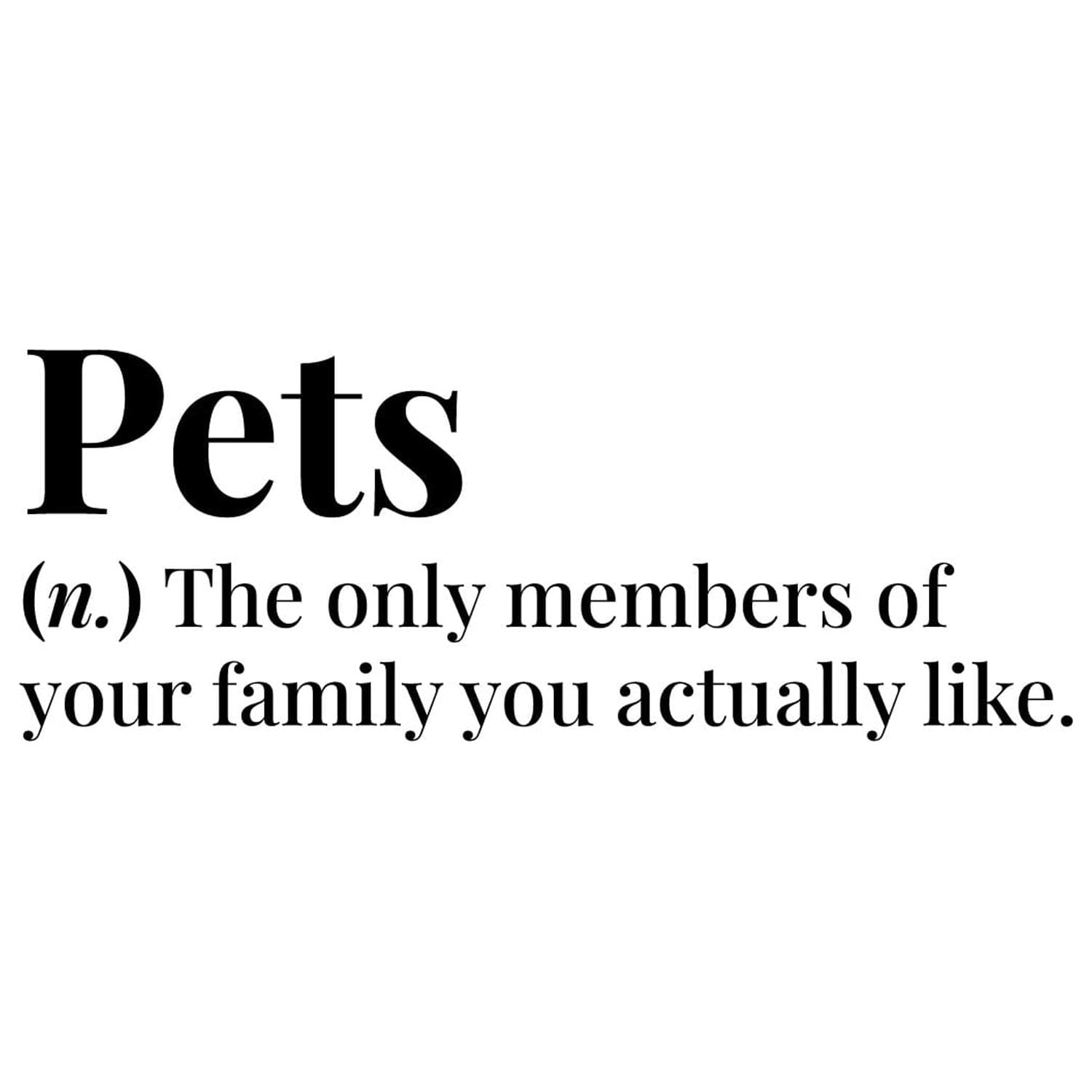 Vinyl Wall Art Decal - Pets Definition - 16" x 6" - Cats Modern ...