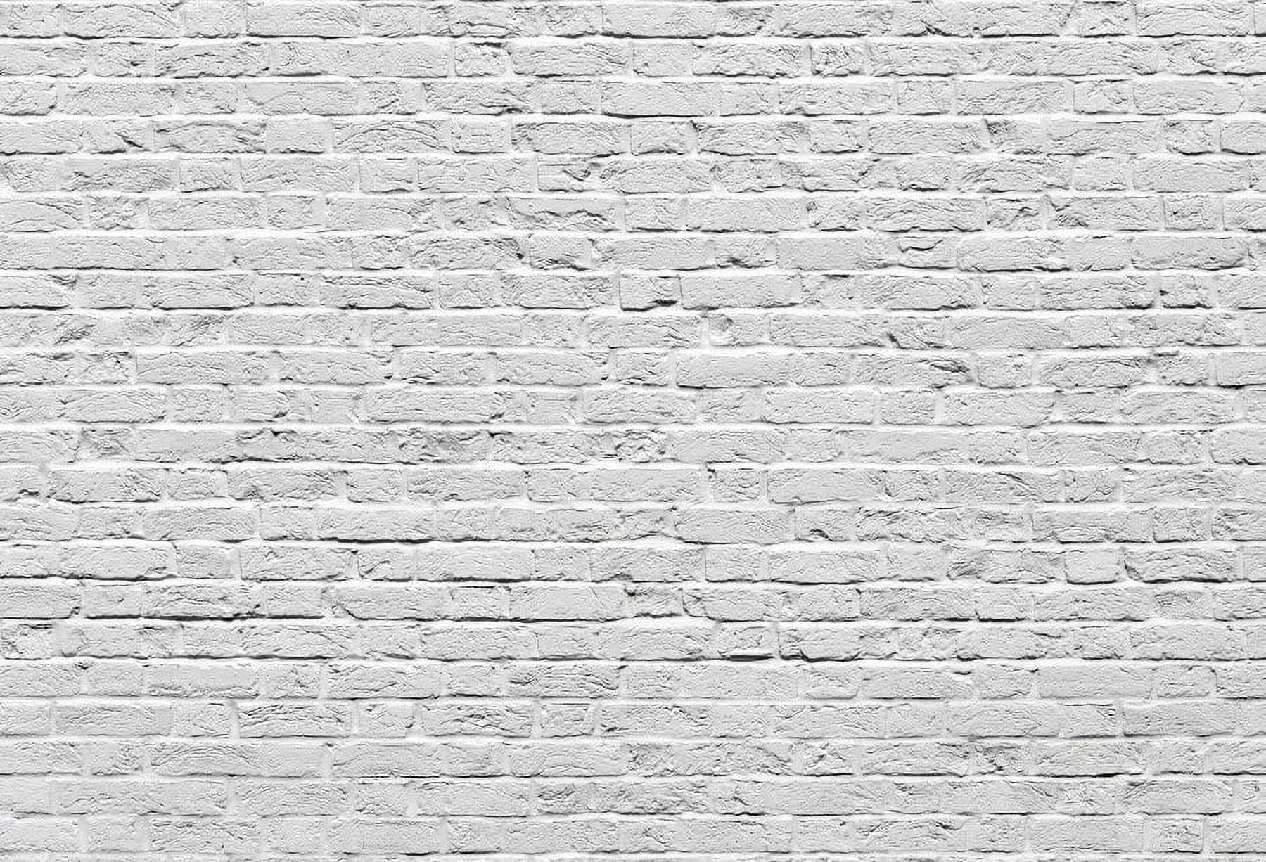 Vinyl Wall Backgrounds For Photography Cement Wall Texture Surface Of ...