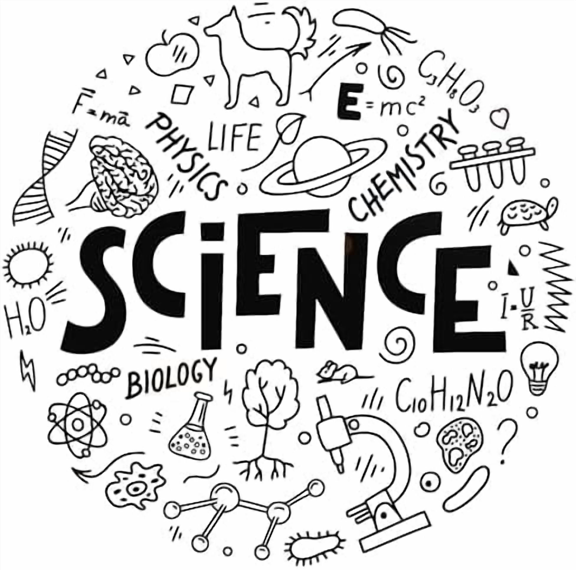Vinyl Wall Decal Science Physics Biology Chemistry School Student ...