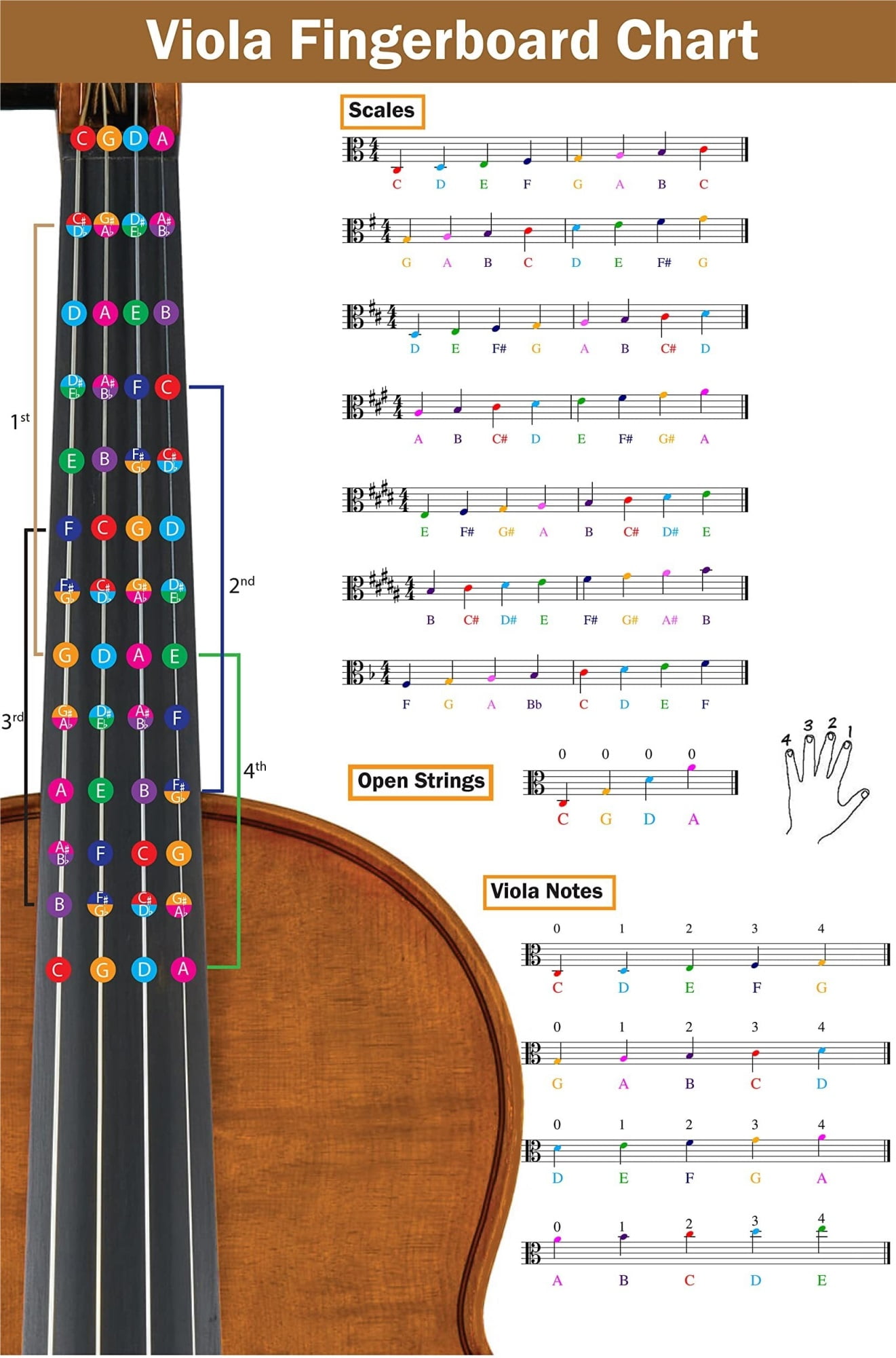 Viola Fingering Chart with Color-Coded Notes poster Viola Scales ...