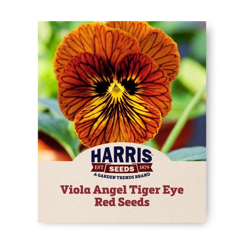 Harris Seeds - Viola Seeds - Angel Tiger Eye Red F1 Variety - Annual ...