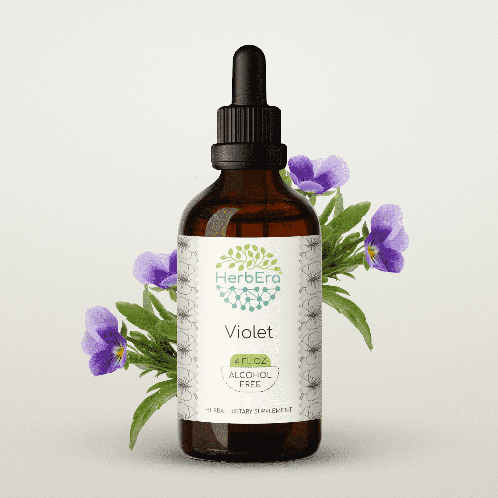 HerbEra Violet Tincture, Herbal Dietary Supplement for Respiratory ...