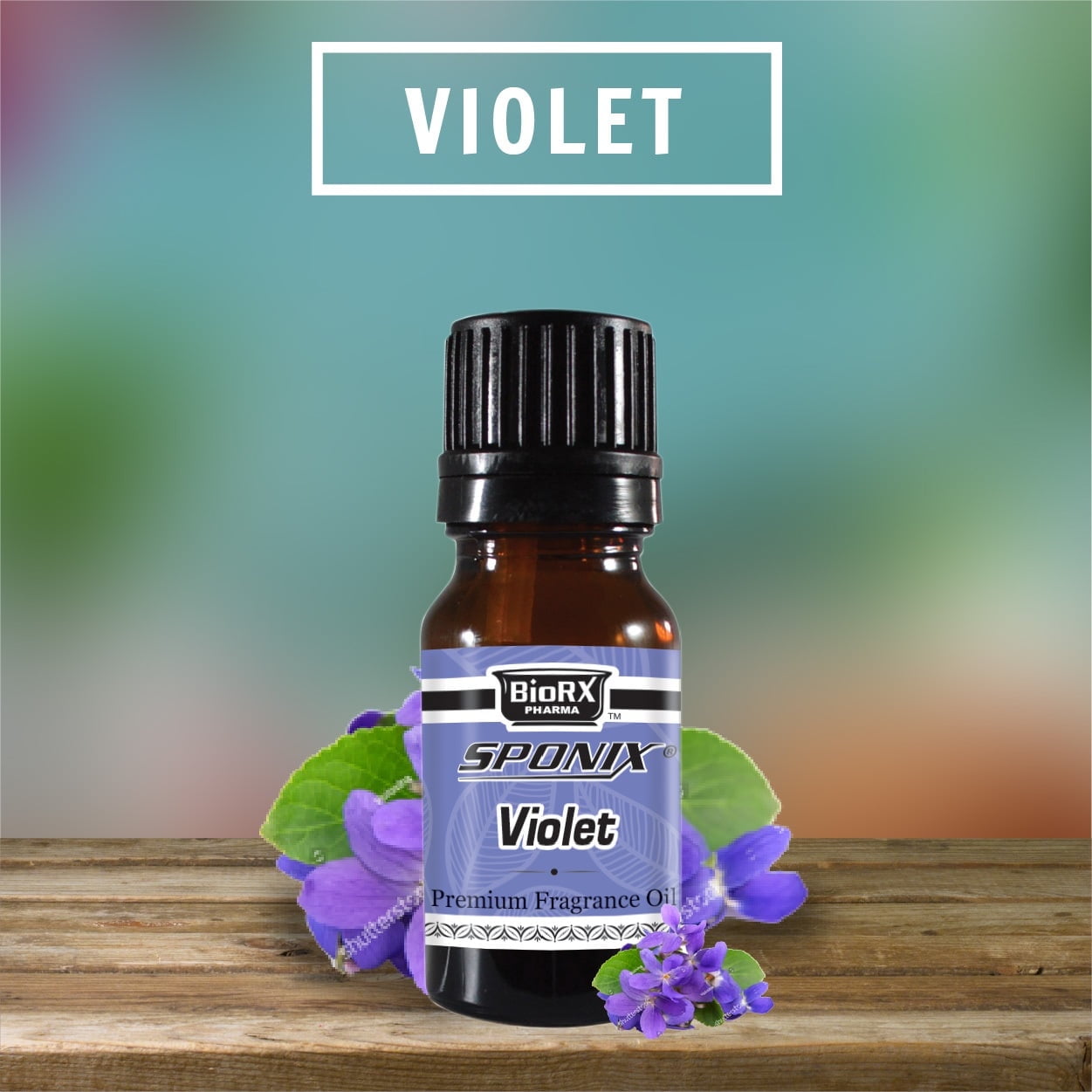 Violet Fragrance Oil 10 mL (1/3 Oz) Aromatherapy - 100% Pure Organic ...