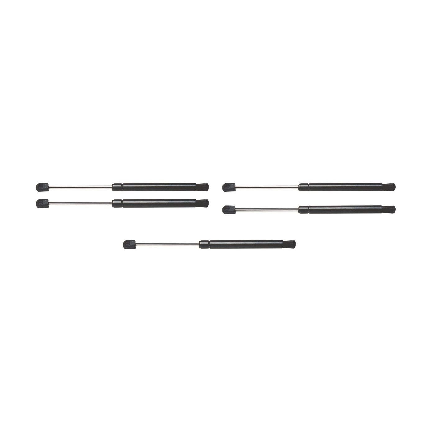 VioletLisa 5 Pieces - Liftgate Lift Support Left Driver Right Passenger ...