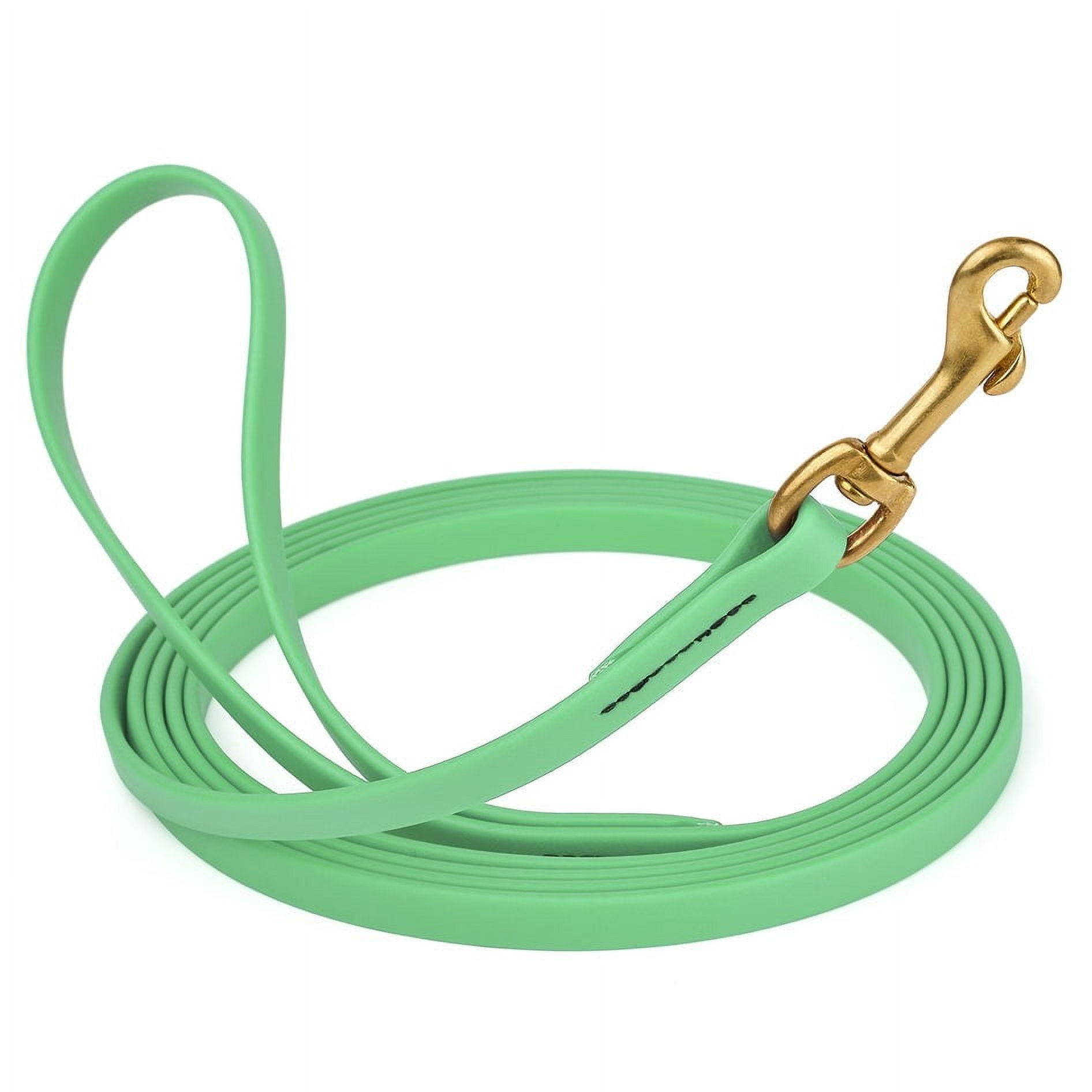 Viper Biothane 20 ft Long Line Lead - Walmart.com