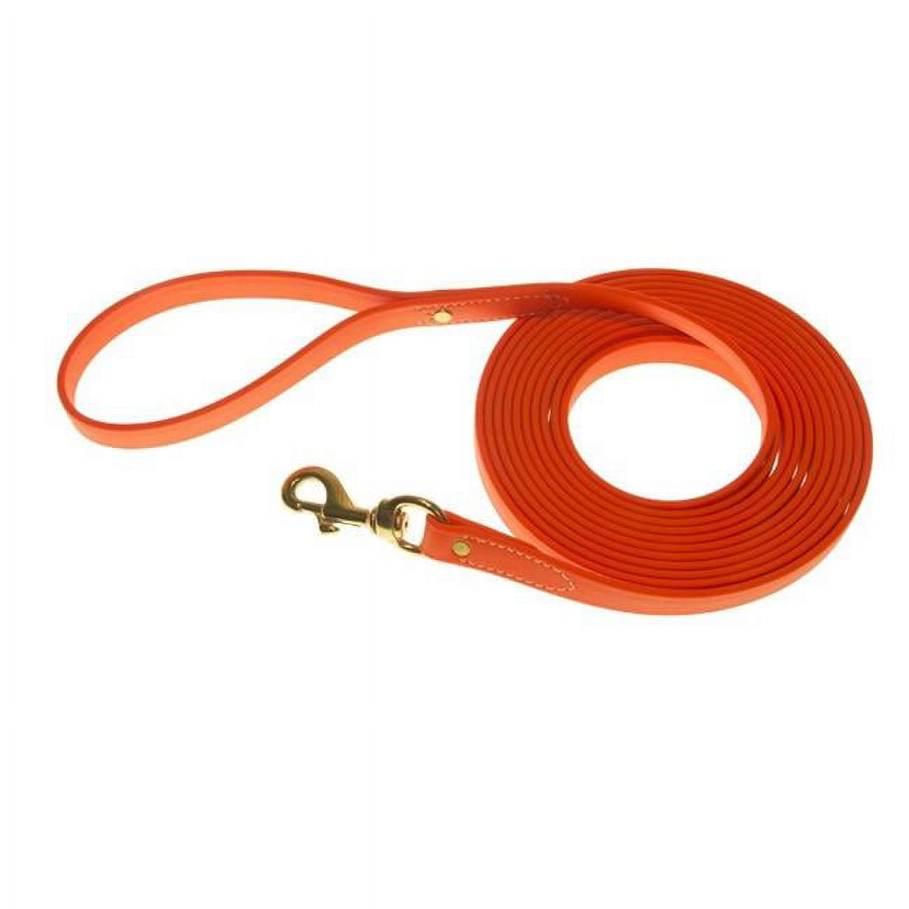 Viper Biothane 33 ft Long Line Lead - Walmart.com