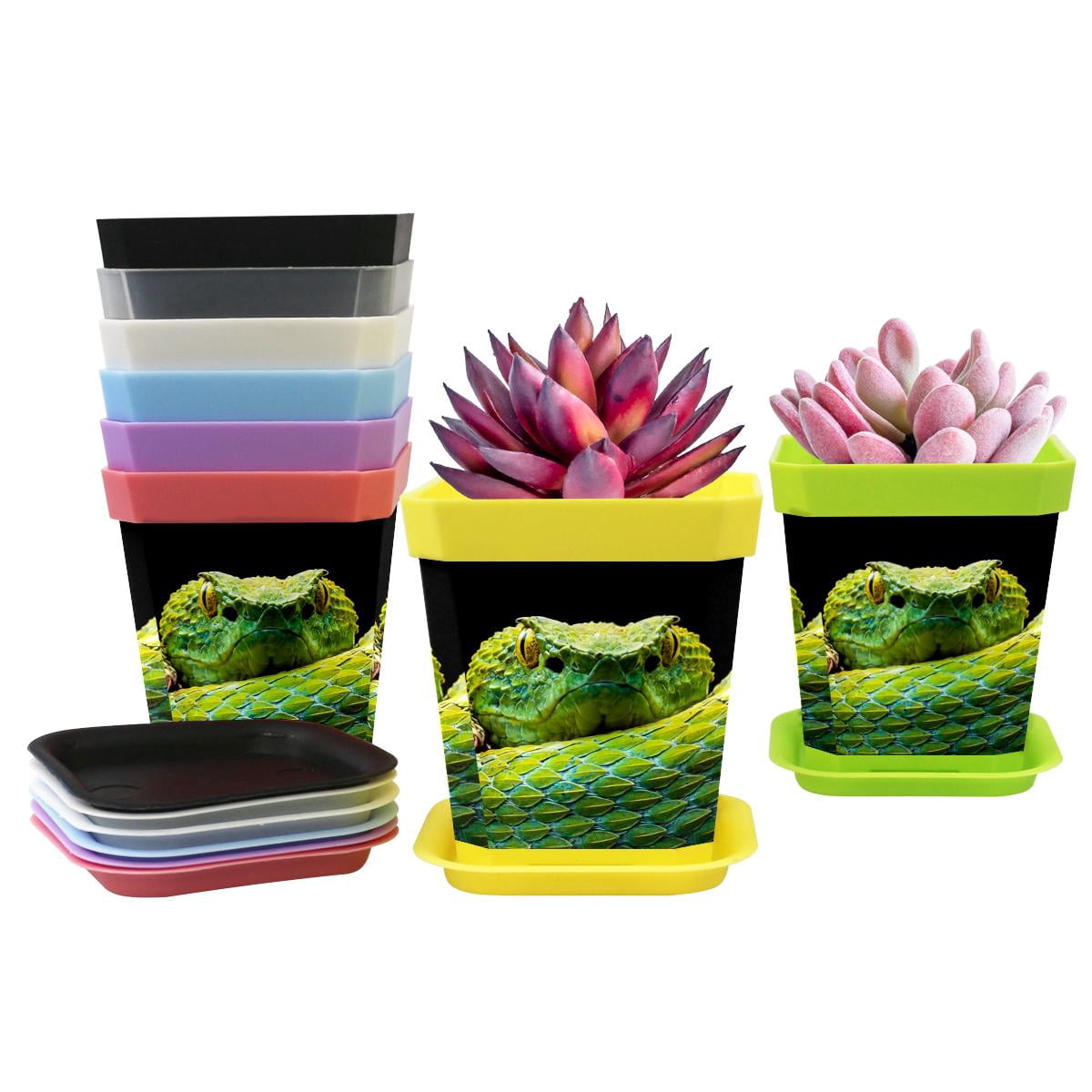Viper Snake Green Wild Animal Caribbean Planter 8PCS - Lightweight ...