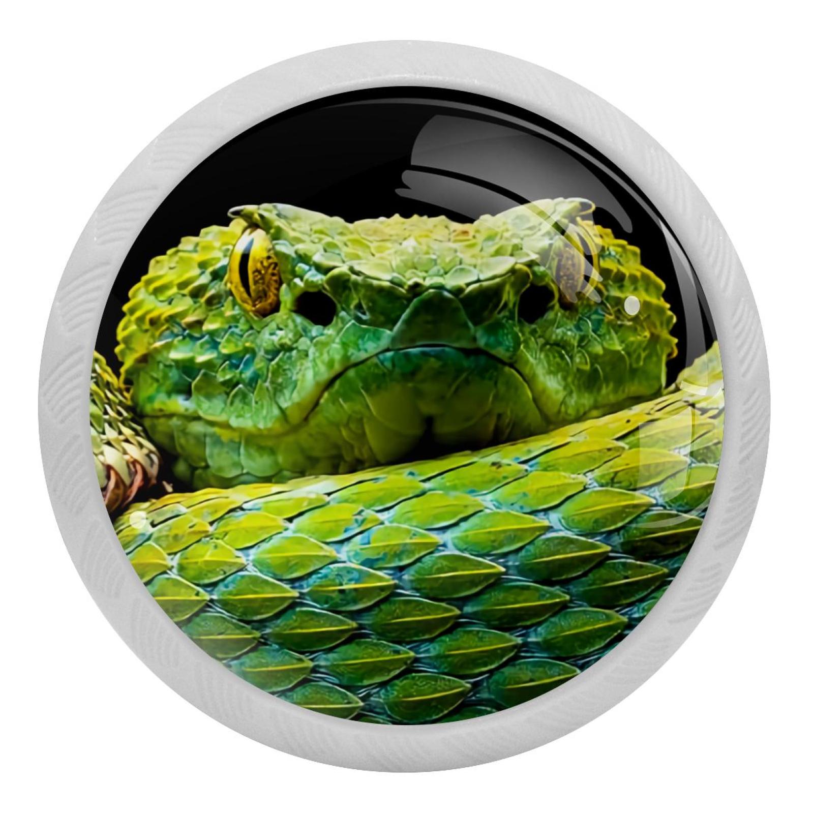 Viper Snake Green Wild Animal Pattern 4PCS Cabinet Knobs Pulls ...