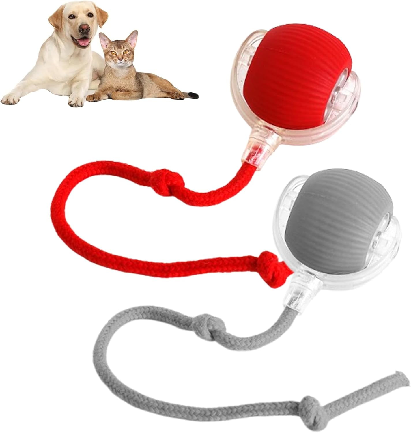 Viral Rolling Ball, Ball for Dogs, Doggie Ball, Interactive Dog Smart ...