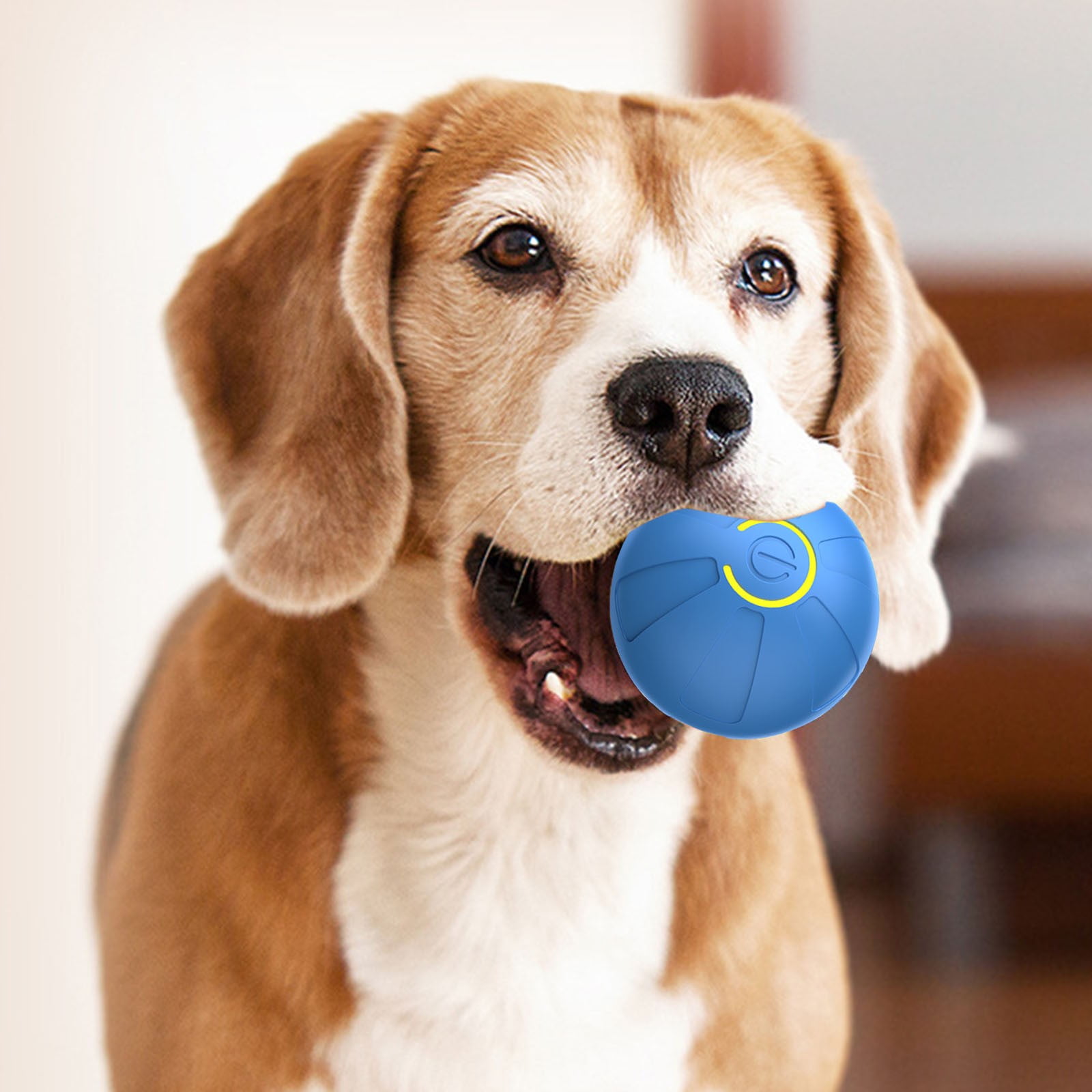 Viral Shaky Ball for Dogs, Shaky Ball Toy for Dogs, Vibrating Dog ball ...