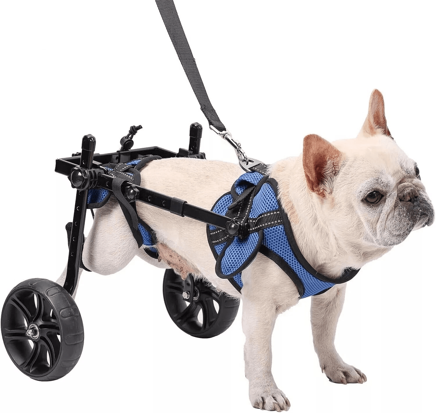 Virbraroo Adjustable Dog Wheelchair For Back Legs With Upgraded All ...