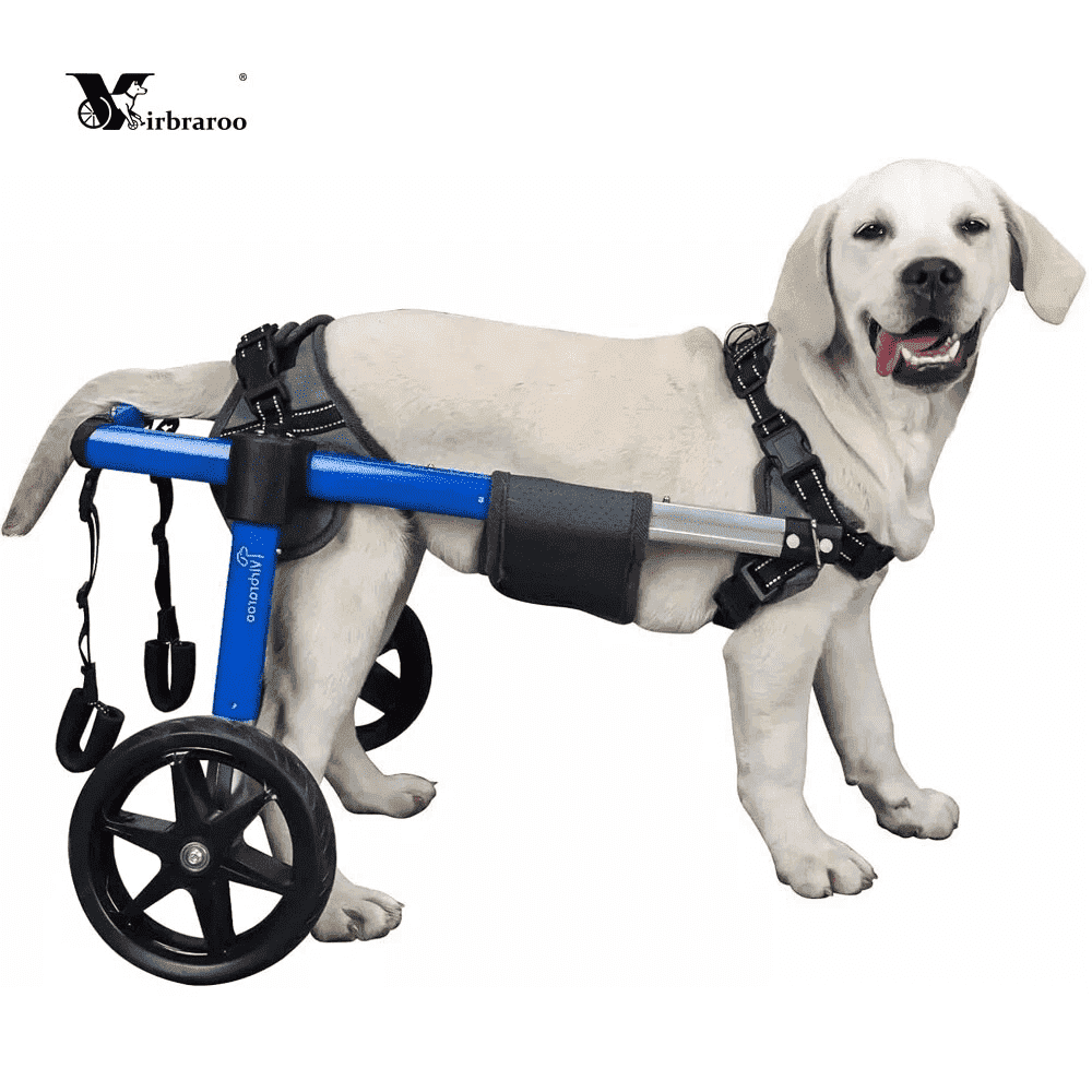 Virbraroo Dog Wheelchair for Back Legs, Dog Wheelchair with All-Terrain ...