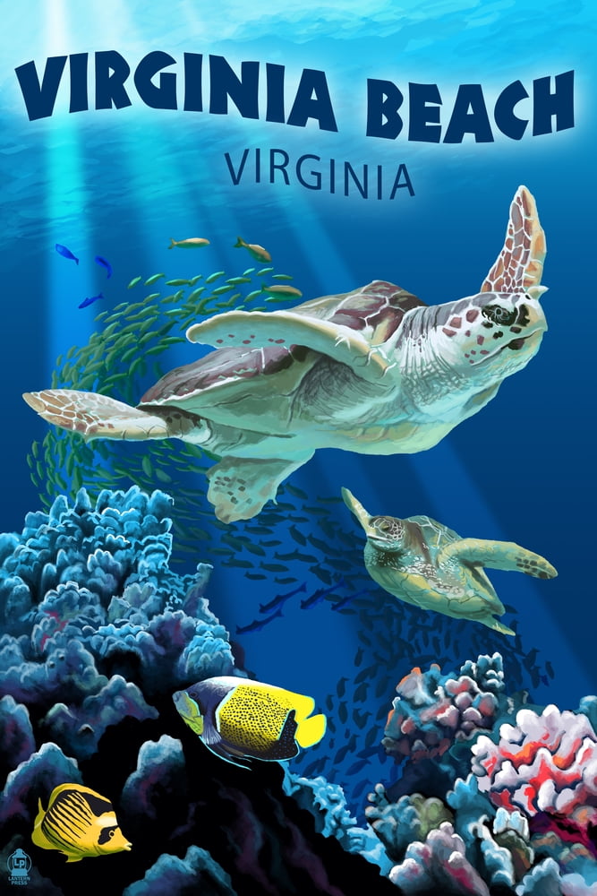 Virginia Beach, Virginia, Sea Turtle Swimming (16x24 Giclee Gallery Art ...