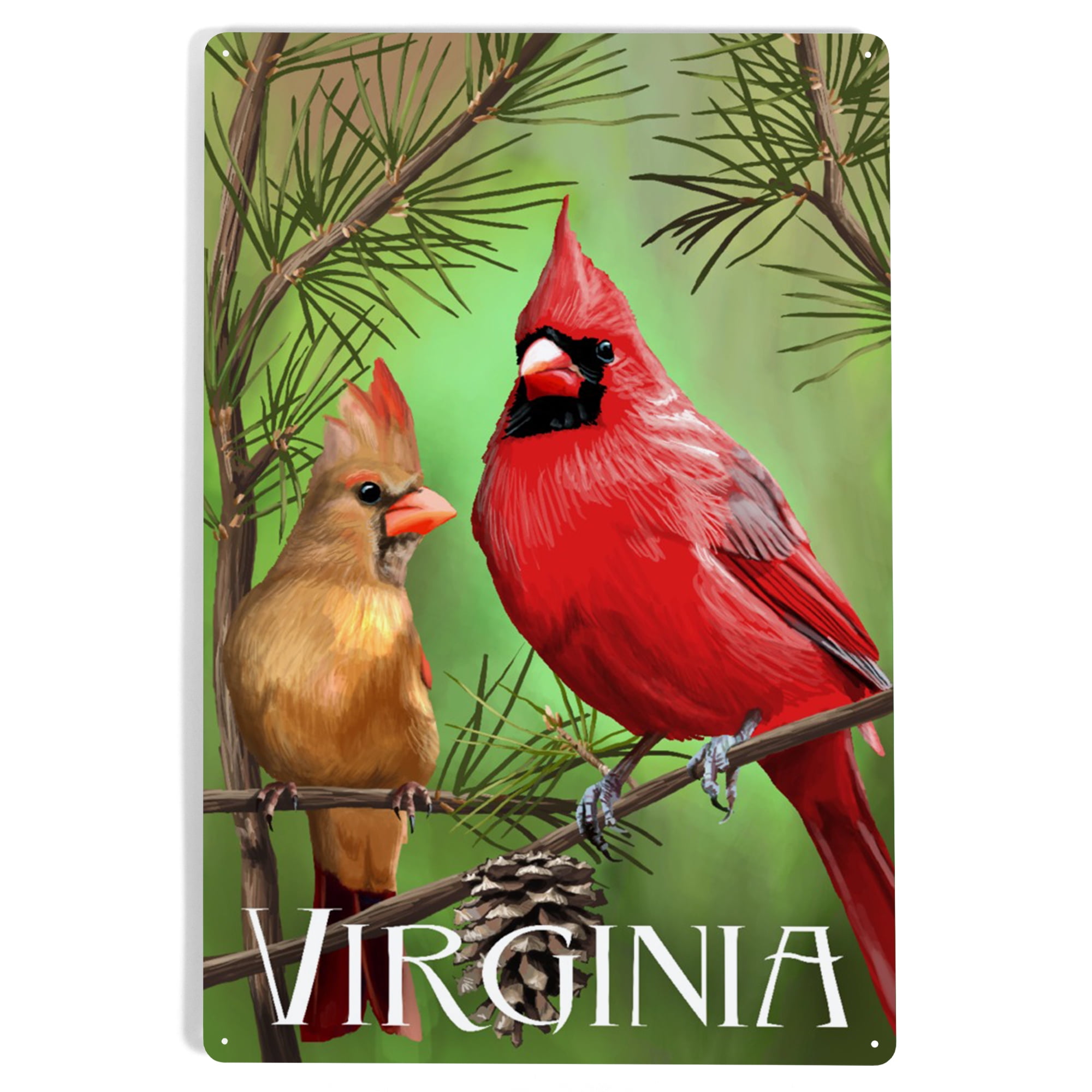 Virginia, Cardinal in Summer (12x18 Aluminum Art, Indoor Outdoor Metal ...