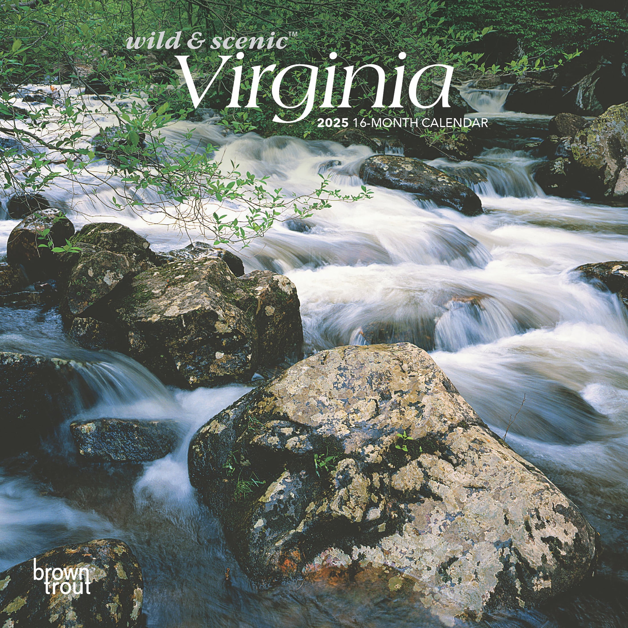 Virginia Wild & Scenic | 2025 7x14" (Hanging) Mini Wall Calendar ...