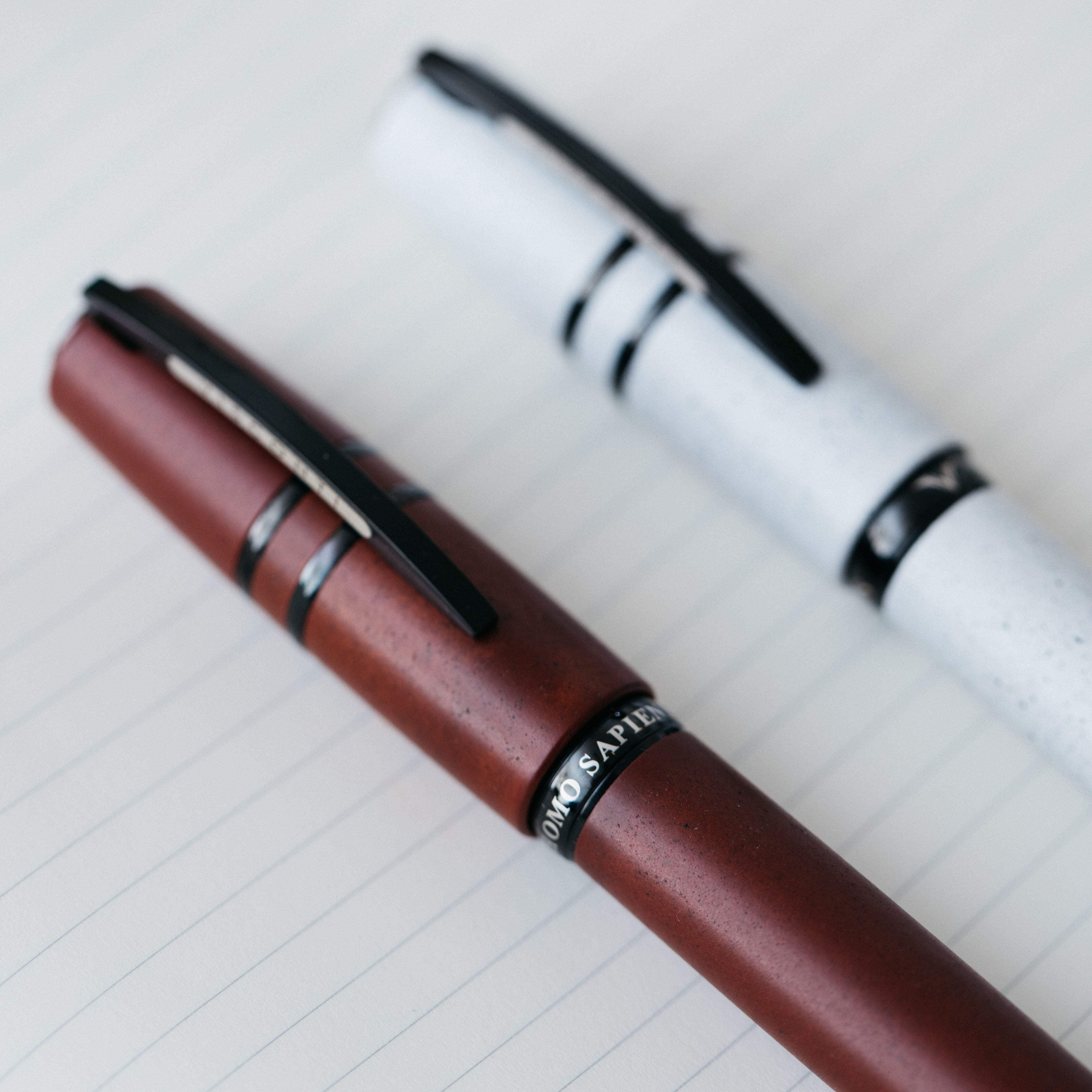 Visconti Homo Sapiens Color Fountain Pen - Walmart.com