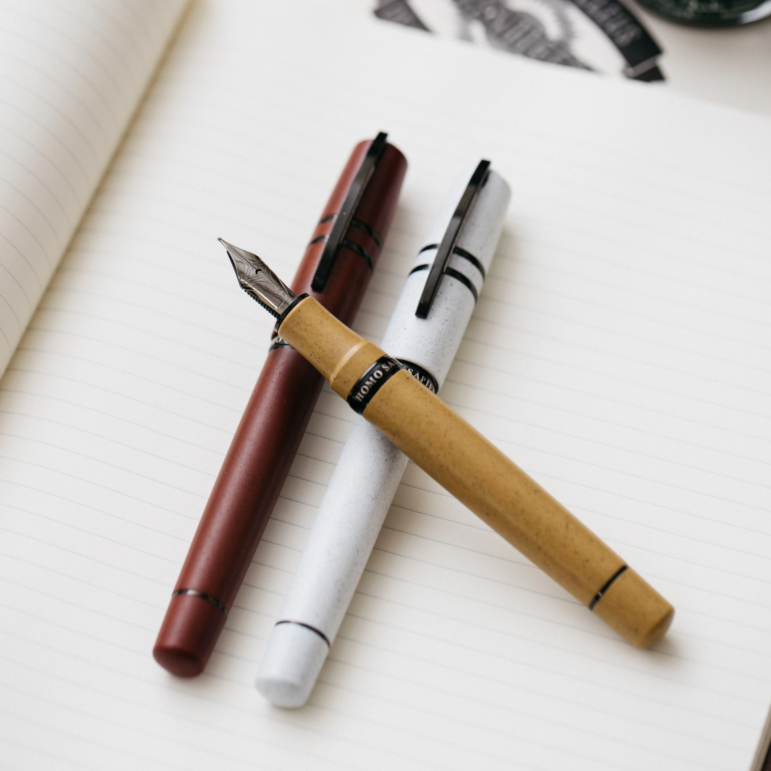 Visconti Homo Sapiens Color Fountain Pen - Walmart.com