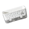 Visible Root Observation Planter, Intelligent Watering Feature Growth ...