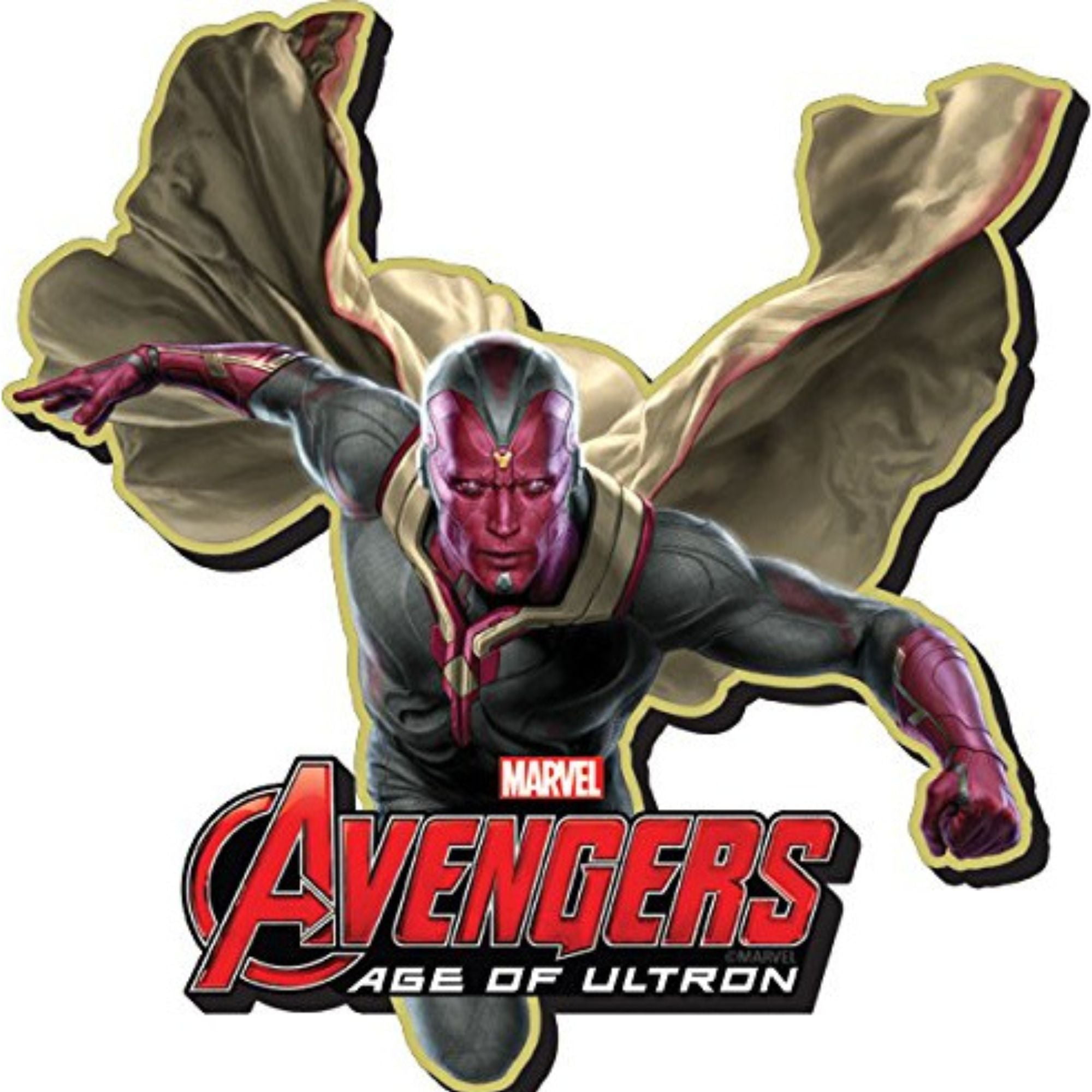 Vision Chunky Magnet - Walmart.com
