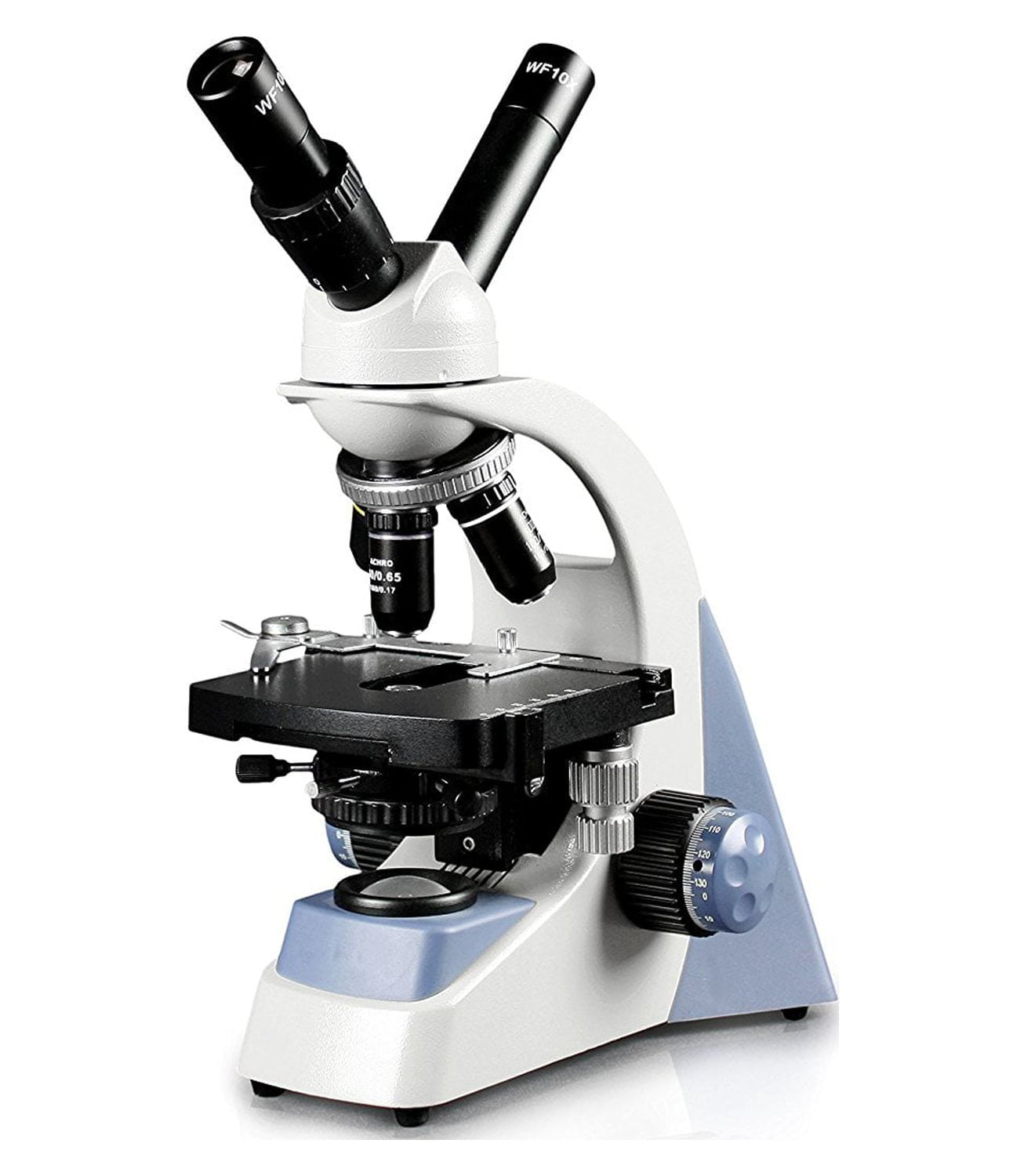 Compound Light Microscope Magnification