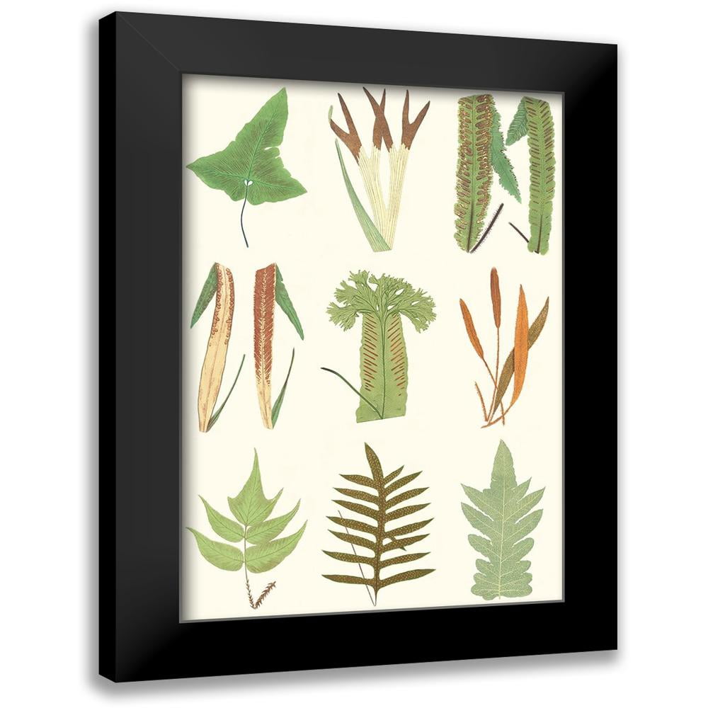 Vision Studio 11x14 Black Modern Framed Museum Art Print Titled ...