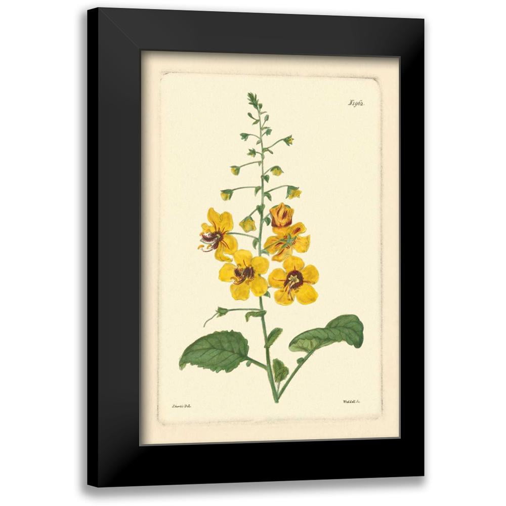 Vision Studio 11x14 Black Modern Framed Museum Art Print Titled ...