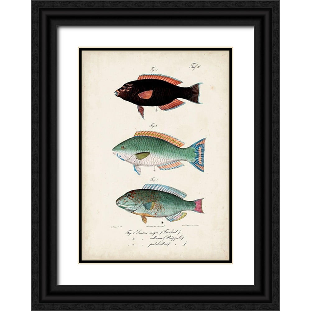 Vision Studio 11x14 Black Ornate Wood Framed with Double Matting Museum ...