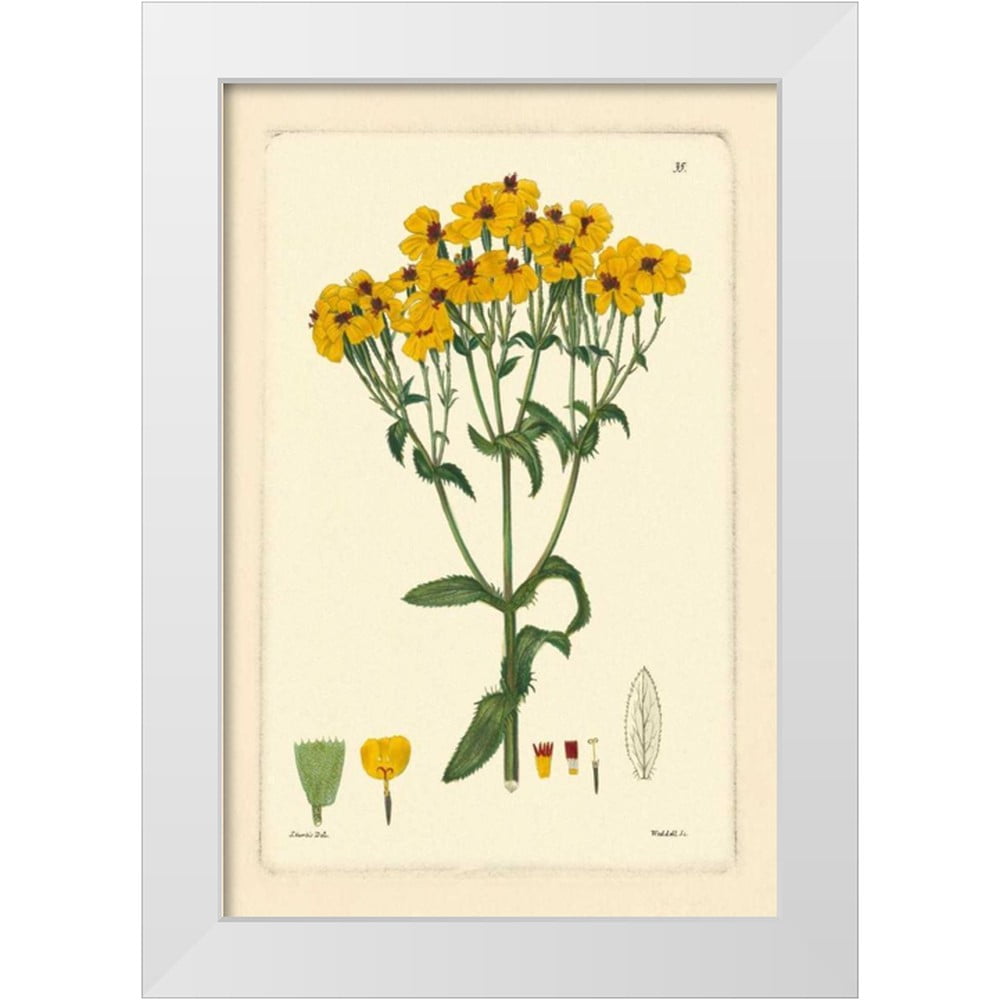 Vision Studio 11x14 White Modern Wood Framed Museum Art Print Titled ...
