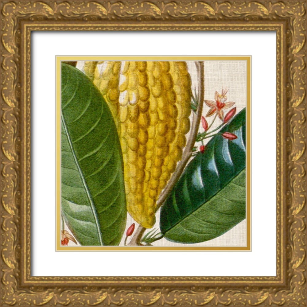 Vision Studio 12x12 Gold Ornate Wood Framed with Double Matting Museum ...